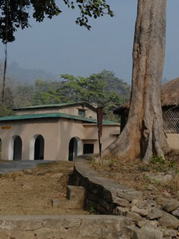 Best Forest Rest House in Jim Corbett : Feel Adventure